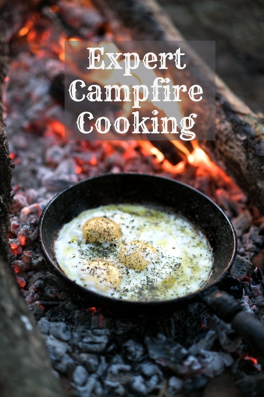 Expert Campfire Cooking - Outdoors, Nature, Hunting, and Camping