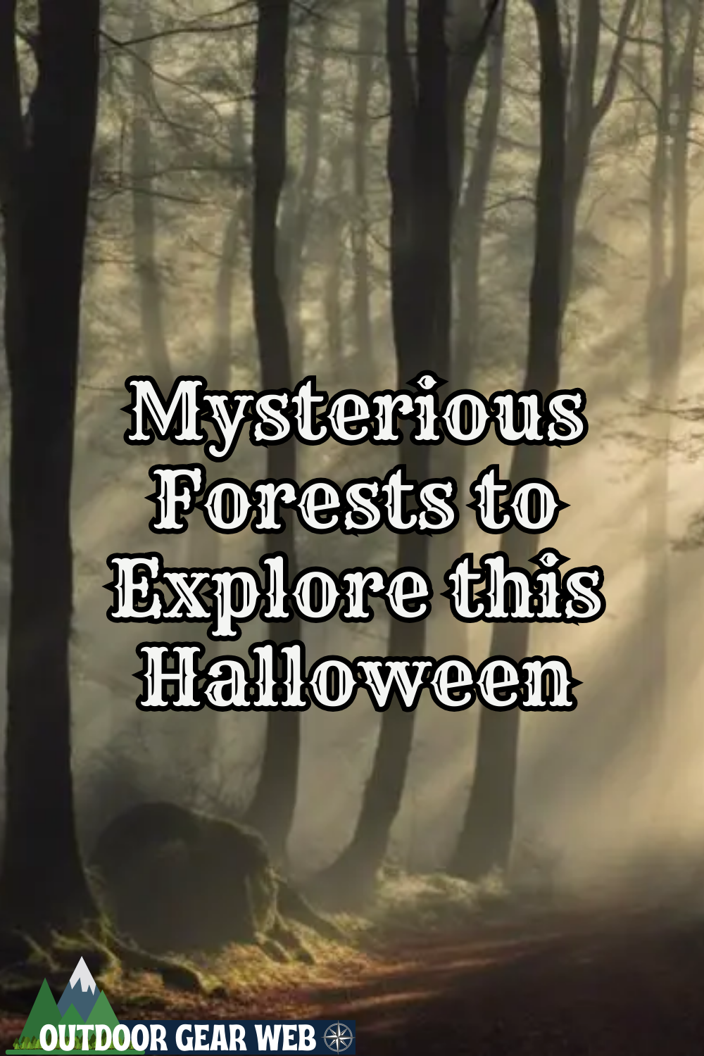 Mysterious Forests to Explore this Halloween - Outdoors, Nature ...